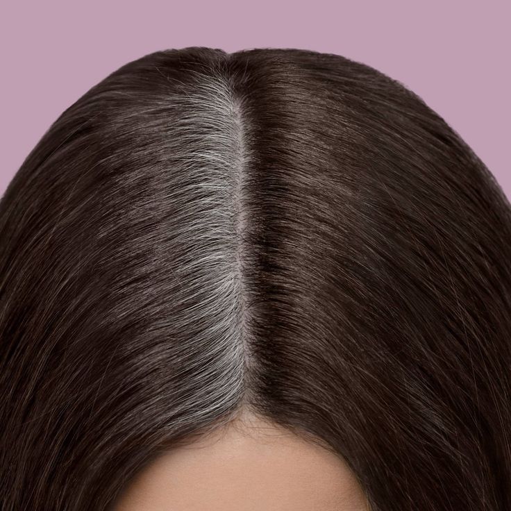 Why Your Gray Roots are So Important & How often should you touch up g ...